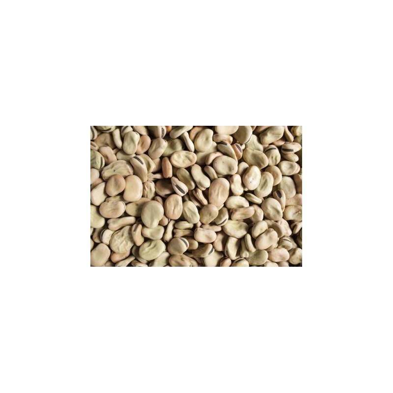 feves seches 1kg - Epicerie Mayrig - Les Saveurs du Moyen-Orient