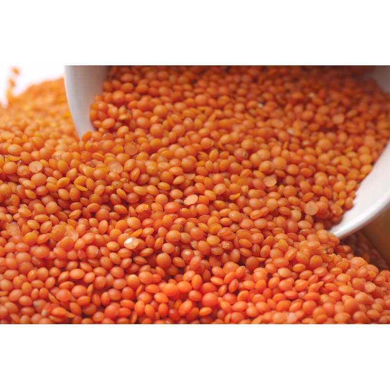 lentilles rouges 1kg - Epicerie Mayrig - Les Saveurs du Moyen-Orient